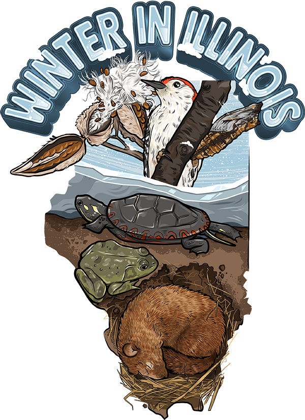 Tot Time: Winter Critters!